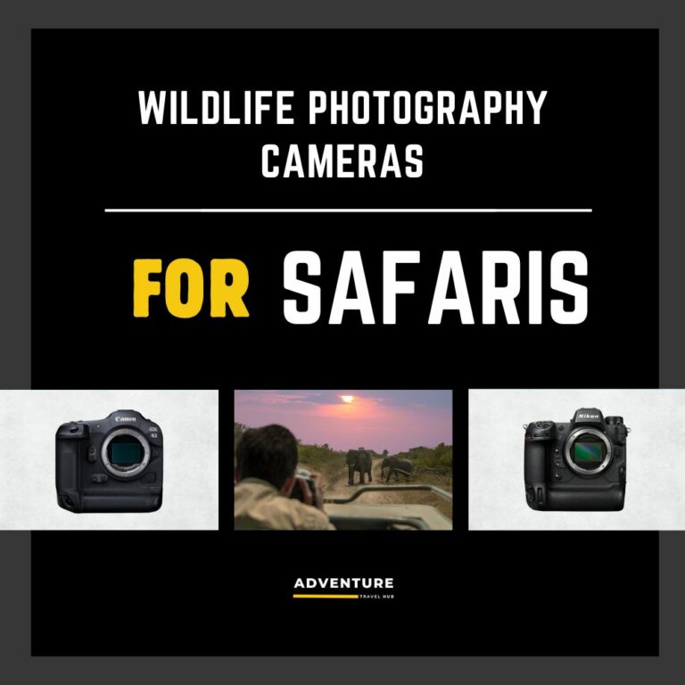 Best Wildlife Photography Cameras for an African Safari | ATH